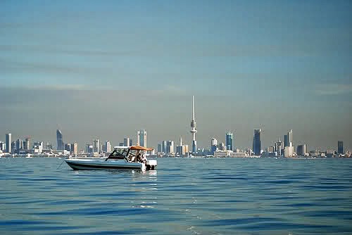 Life in the Sea in Kuwait – justbluedutch