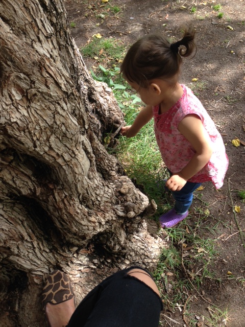 A tale of the Humble Tree – justbluedutch