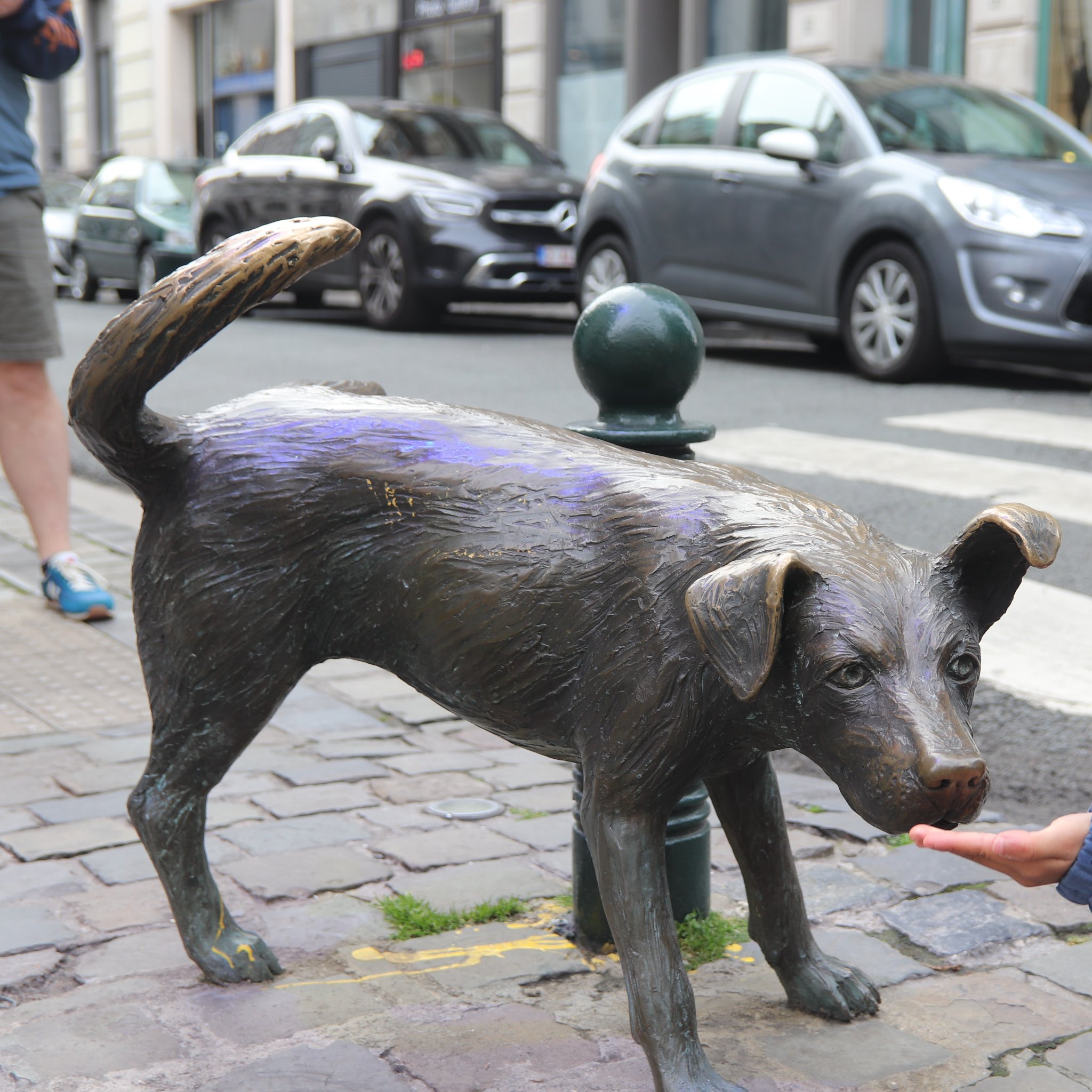 German word of the Day : der Hund (or Dog) – justbluedutch