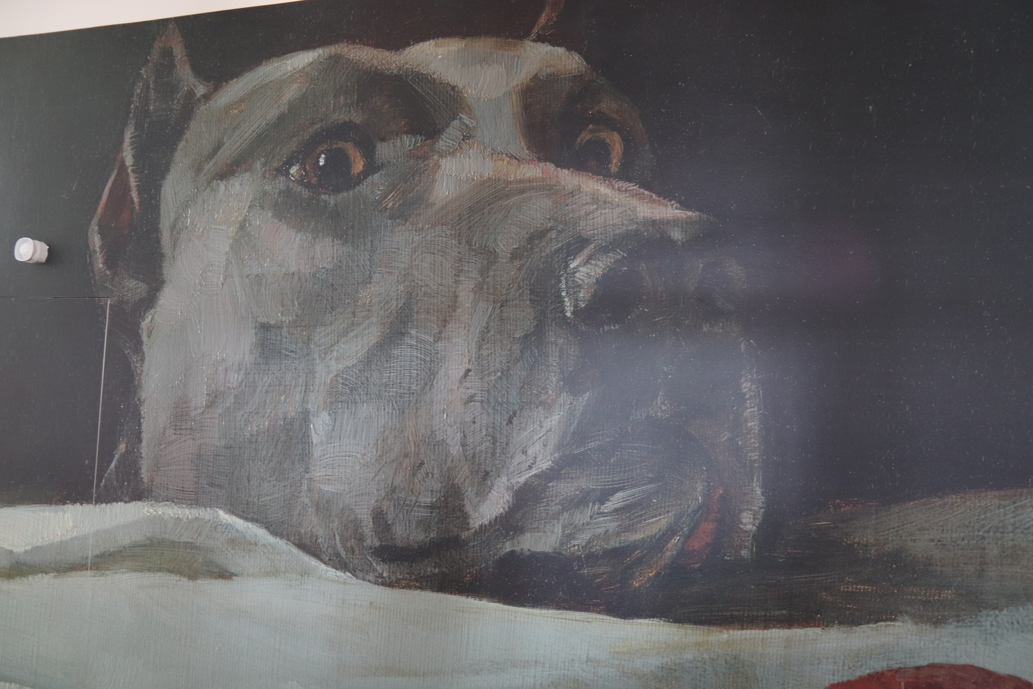 German word of the Day : der Hund (or Dog) – justbluedutch